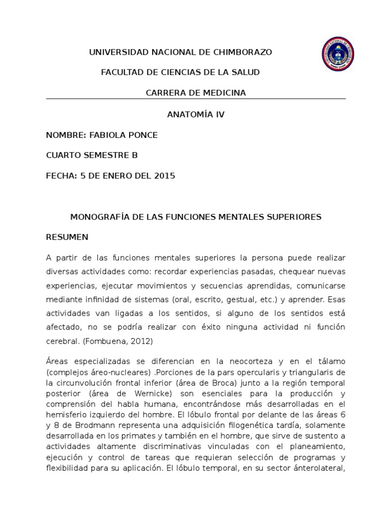 Funciones Mentales Superiores | PDF | Sinapsis | Cerebro