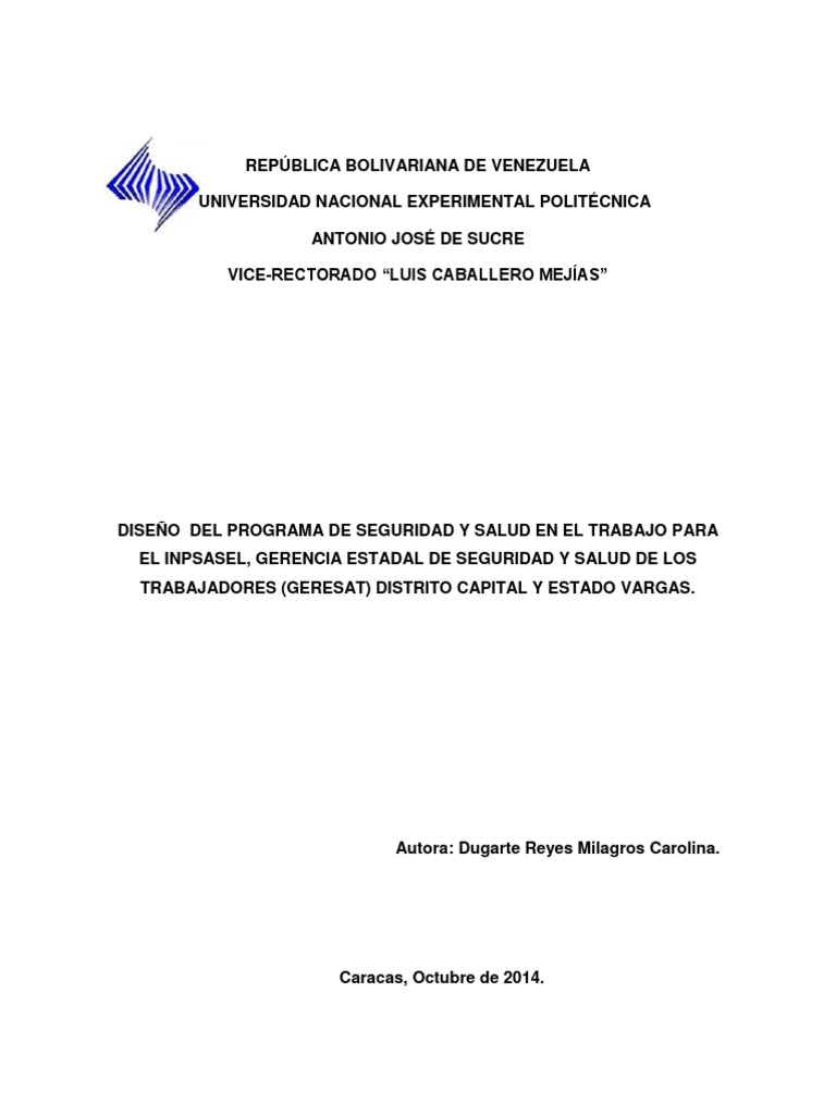 Informe Psst Inpsasel - Copia | Derecho laboral | Seguridad y salud ...