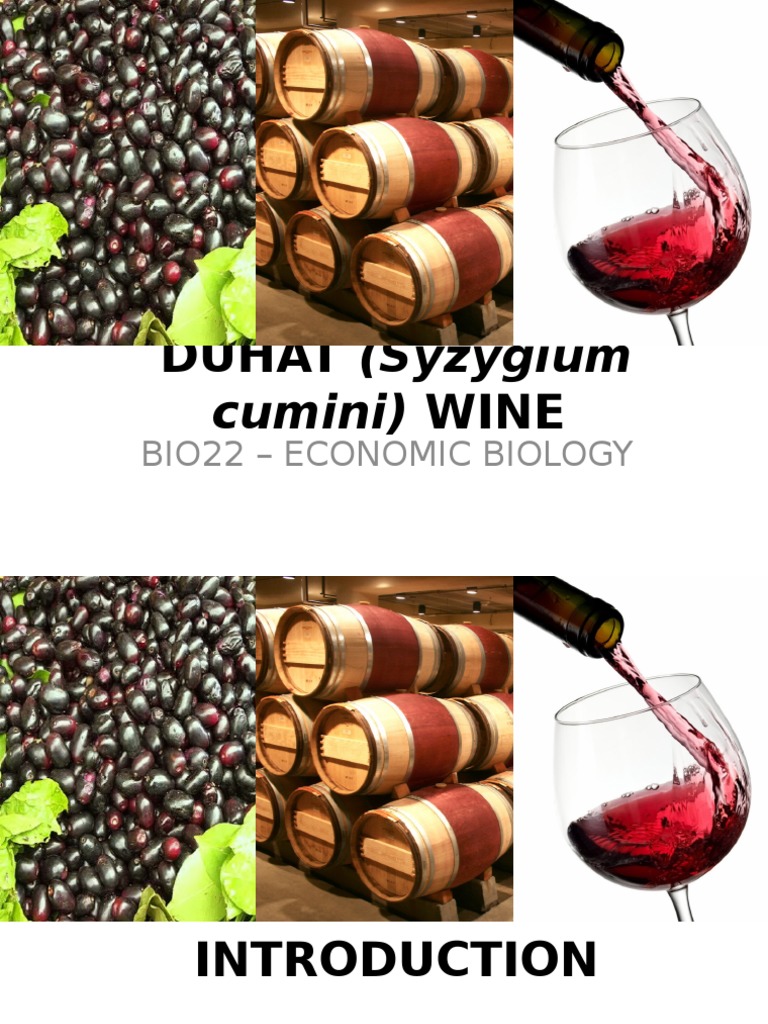DUHAT (Syzygium Cumini) WINE.1 | PDF