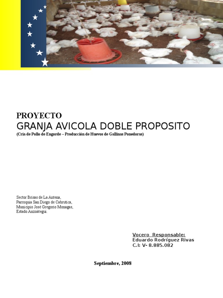 PROYECTO Cria y Engorde de Pollos y Gallinas Ponedoras - Doc Final | PDF | Pollo | Aves