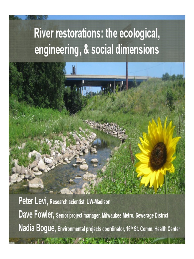 River Restoration: Ecological, Engineering and Social Dimentions | PDF ...