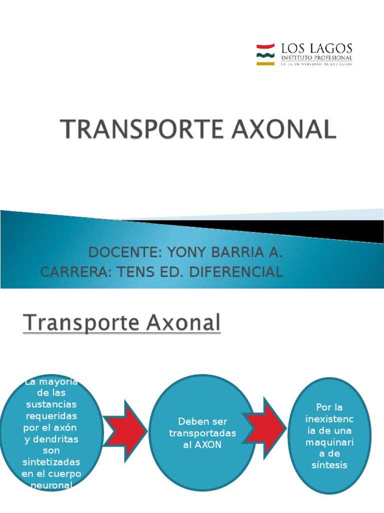 Transporte Axonal | PDF