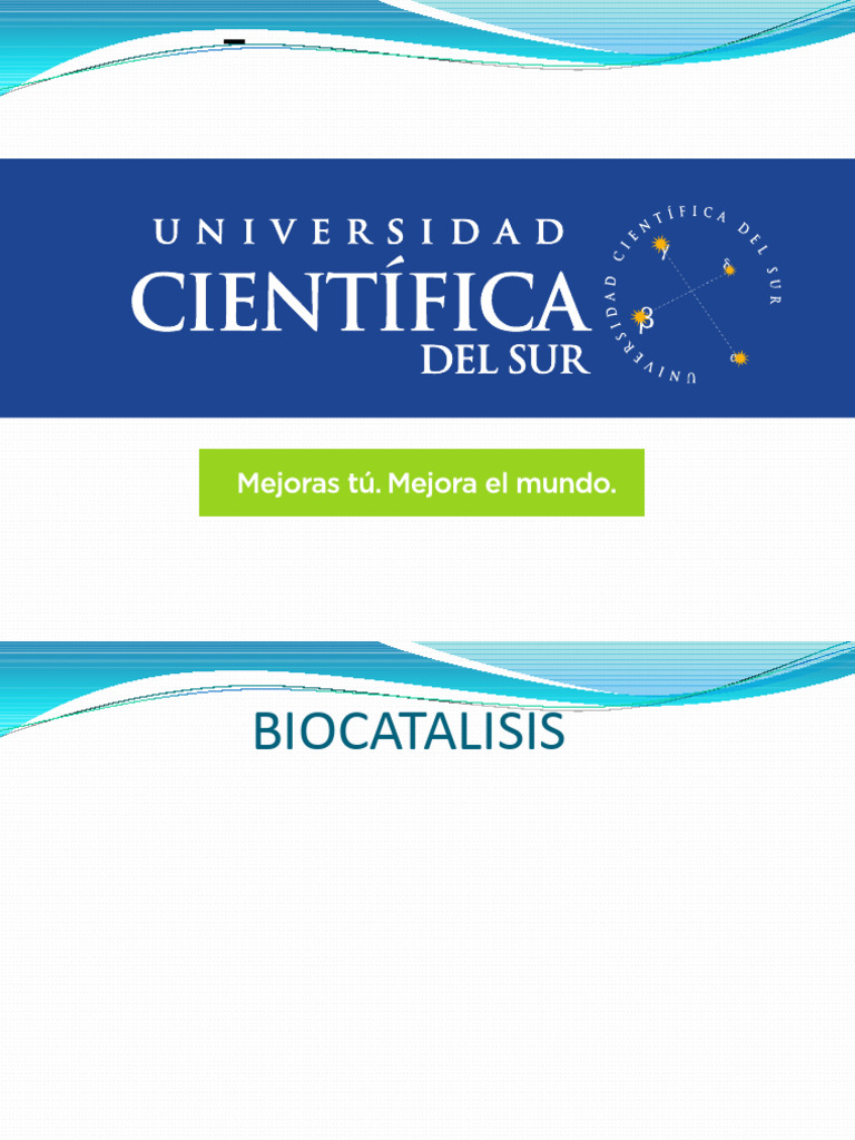 Enzimas, Biocatalisis | PDF | La cinética de enzimas | Enzima