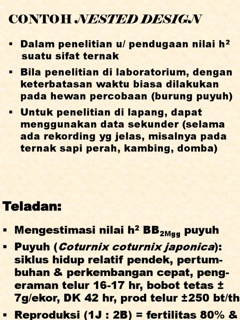 Contoh Nested Design | PDF
