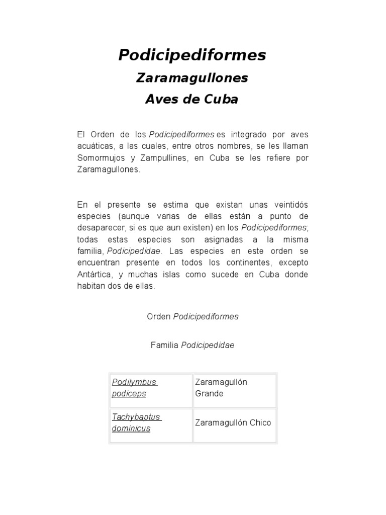 Orden Phoenicopteridae | PDF | Aves | Neognathae