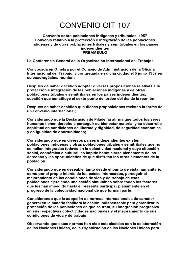 Convenio Oit 107 | Organización Internacional del Trabajo | Política