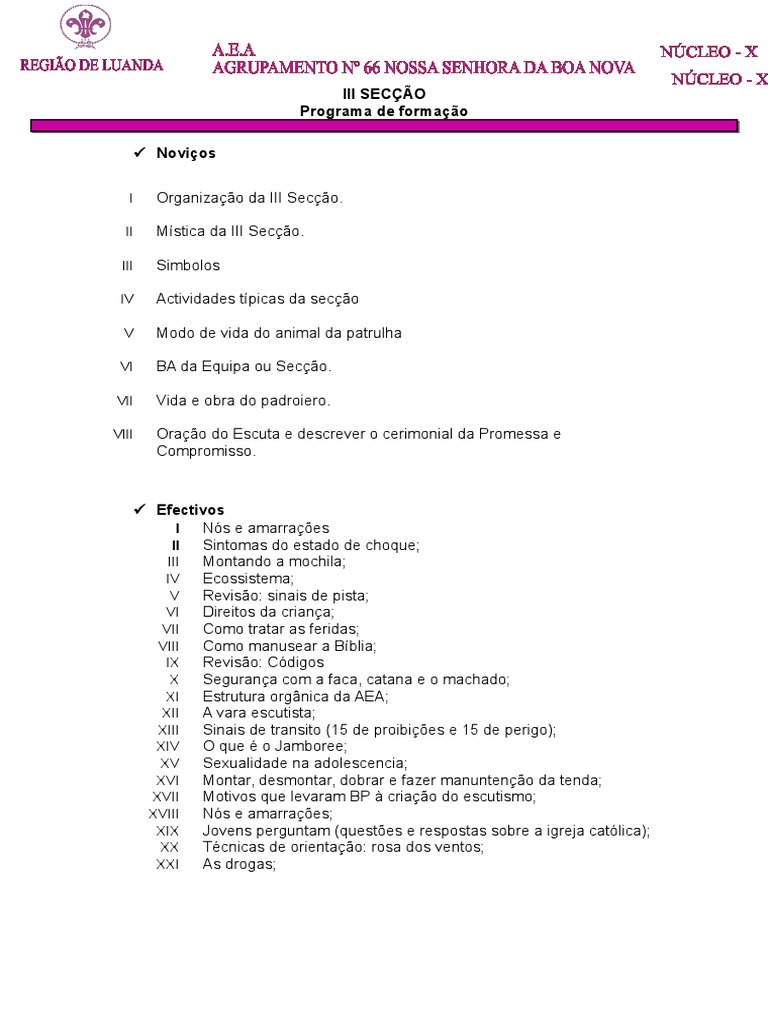 Programa de Formação | PDF