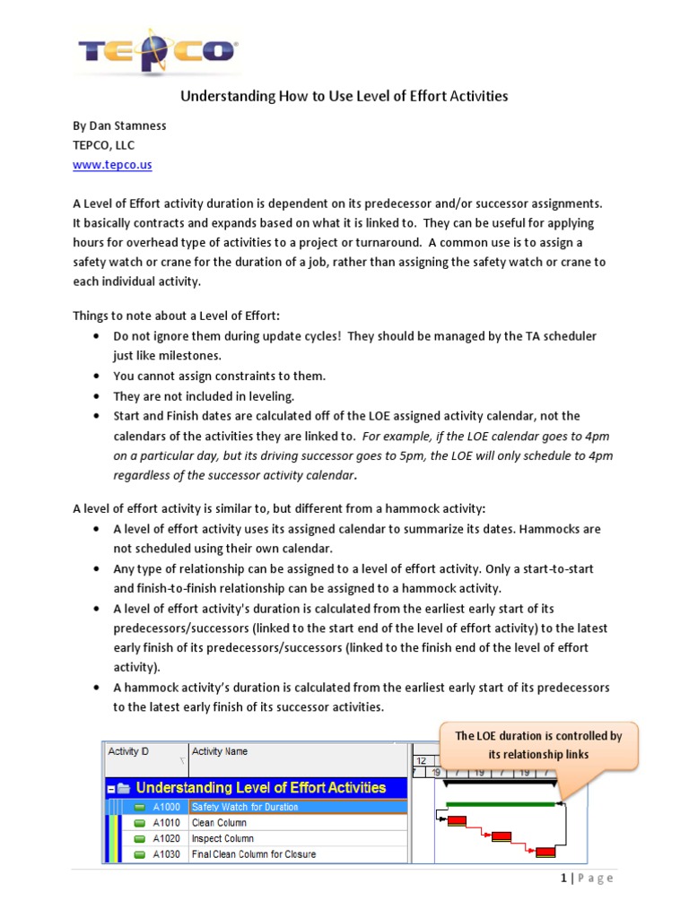 Level of Effort Activity Management Guide | PDF | Percentage | Fraction ...