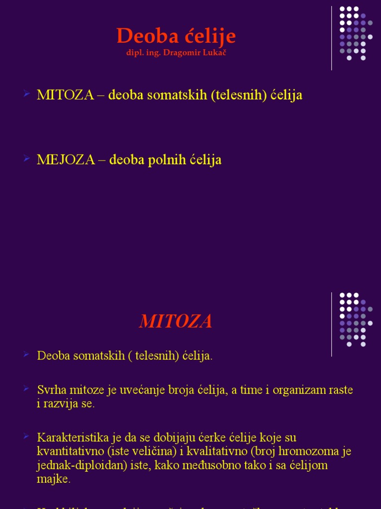 Mejoza I Mitoza | PDF