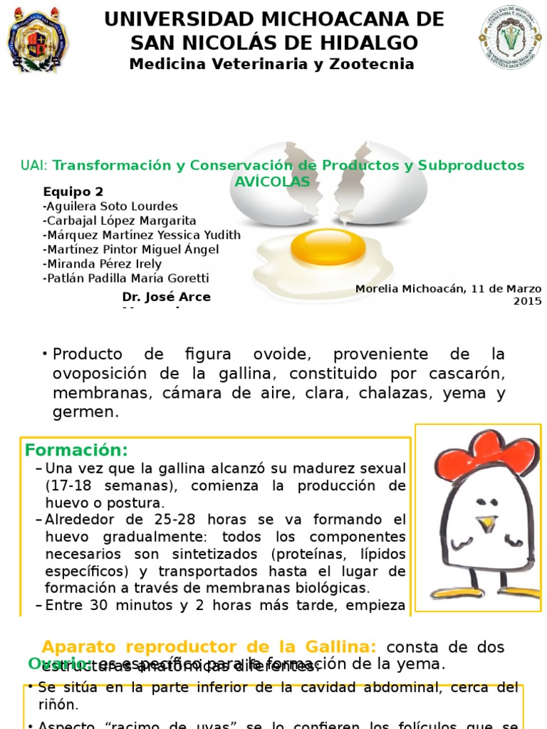 Formación Del Huevo | Huevo | Proteínas | Prueba gratuita de 30 días ...