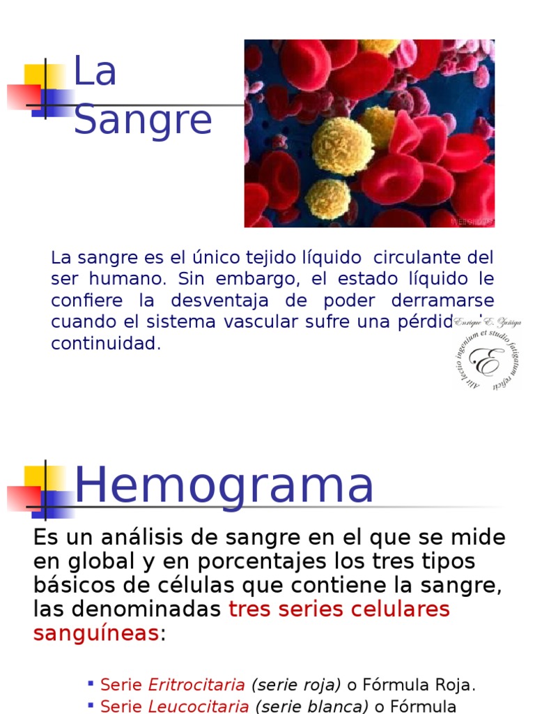 Formula Roja | PDF | Glóbulo rojo | Sangre