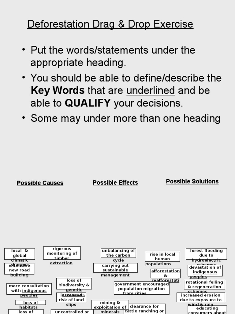 Deforestation Drag Drop | PDF