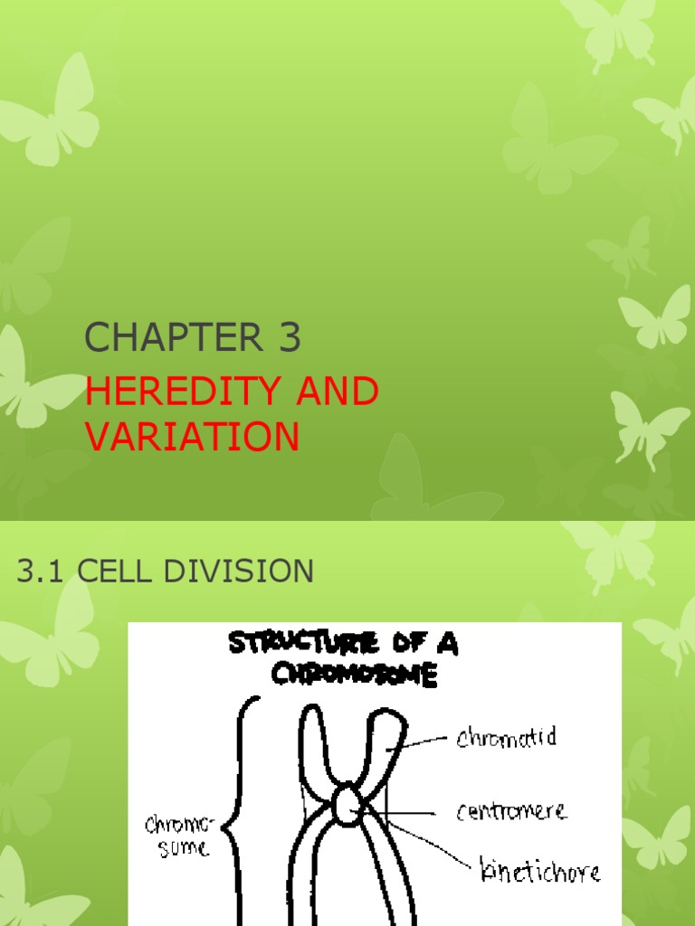 CHAPTER 3 Heredity and Variation | PDF | Reproduction | Twin