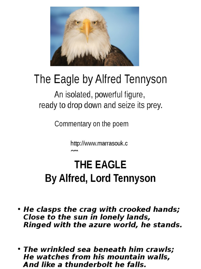 The Eagle by Alfred Tennyson: An Isolated, Powerful Figure, Ready To ...