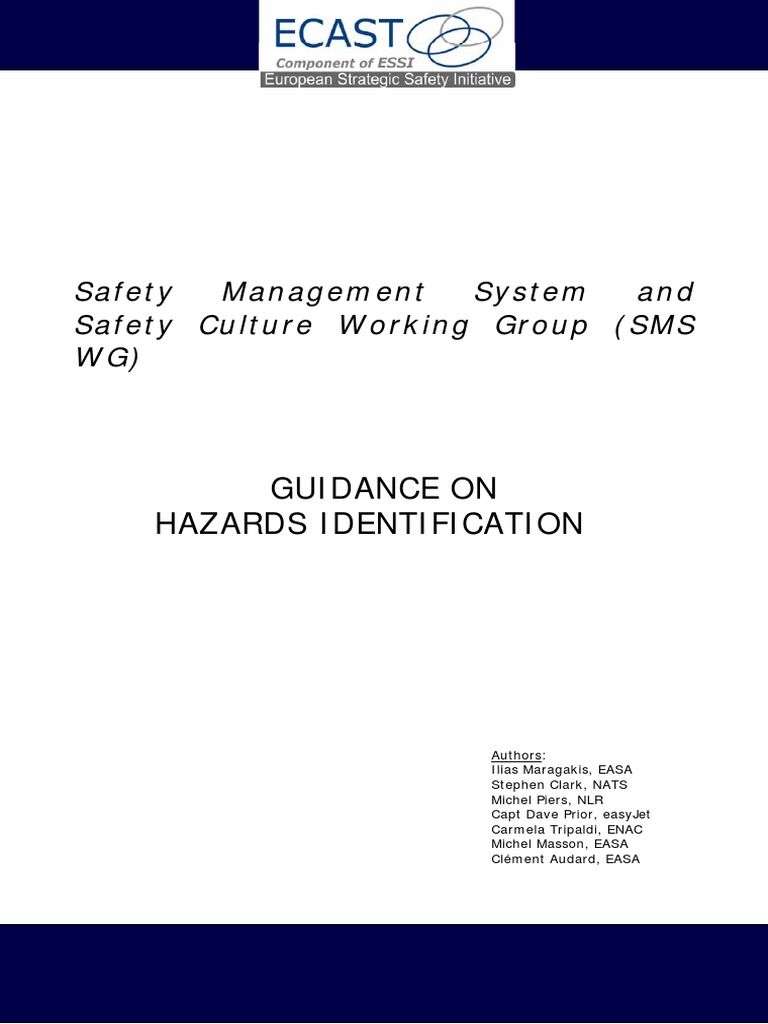 Guidance On Hazard Identification | PDF | Risk Management | Risk