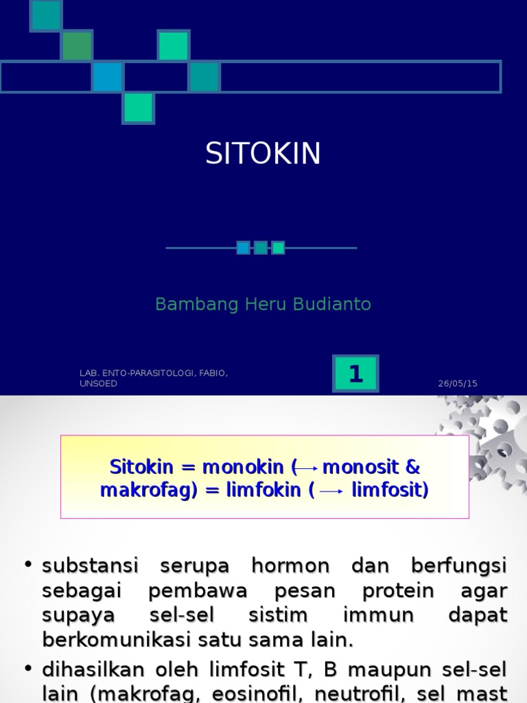 SITOKIN | PDF