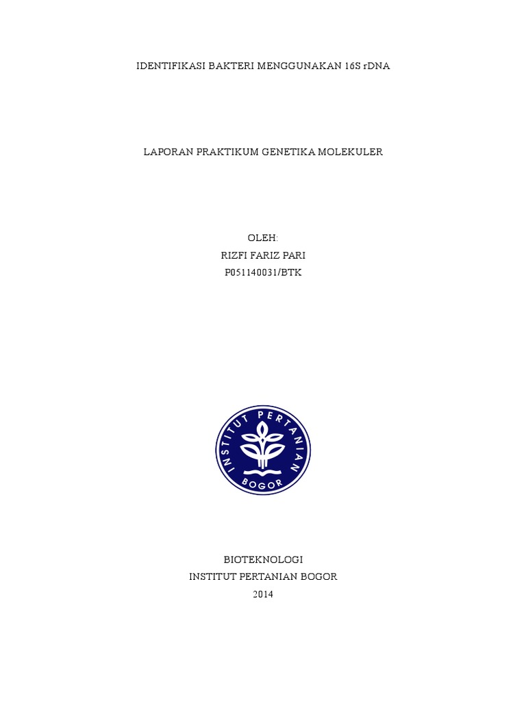 Laporan Praktikum Identifikasi Bakteri (Final) | PDF | Kesehatan Holistik