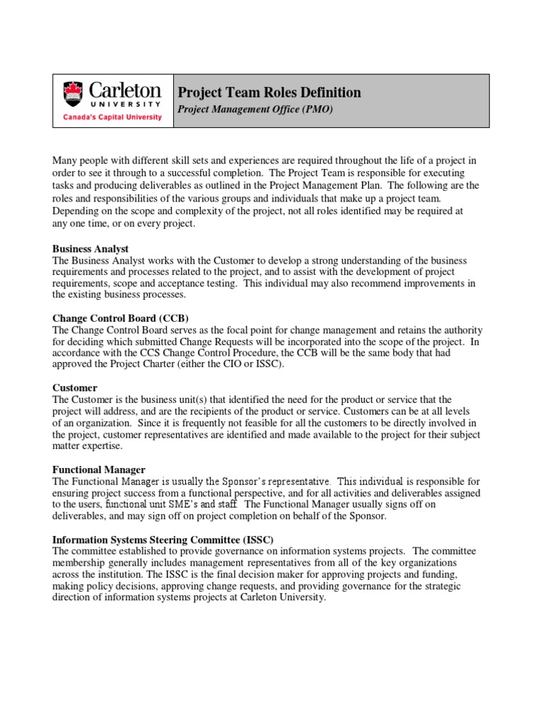 Project Team Roles Definition | PDF | Stakeholder (Corporate) | Project ...