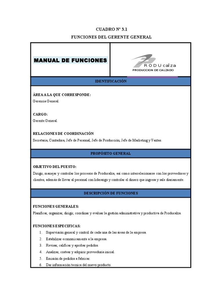 Manual de Funciones Ejemplo | PDF | Recursos humanos | Marketing