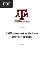 PTTI: Adult Flatfoot Insights | PDF | Foot | Ankle