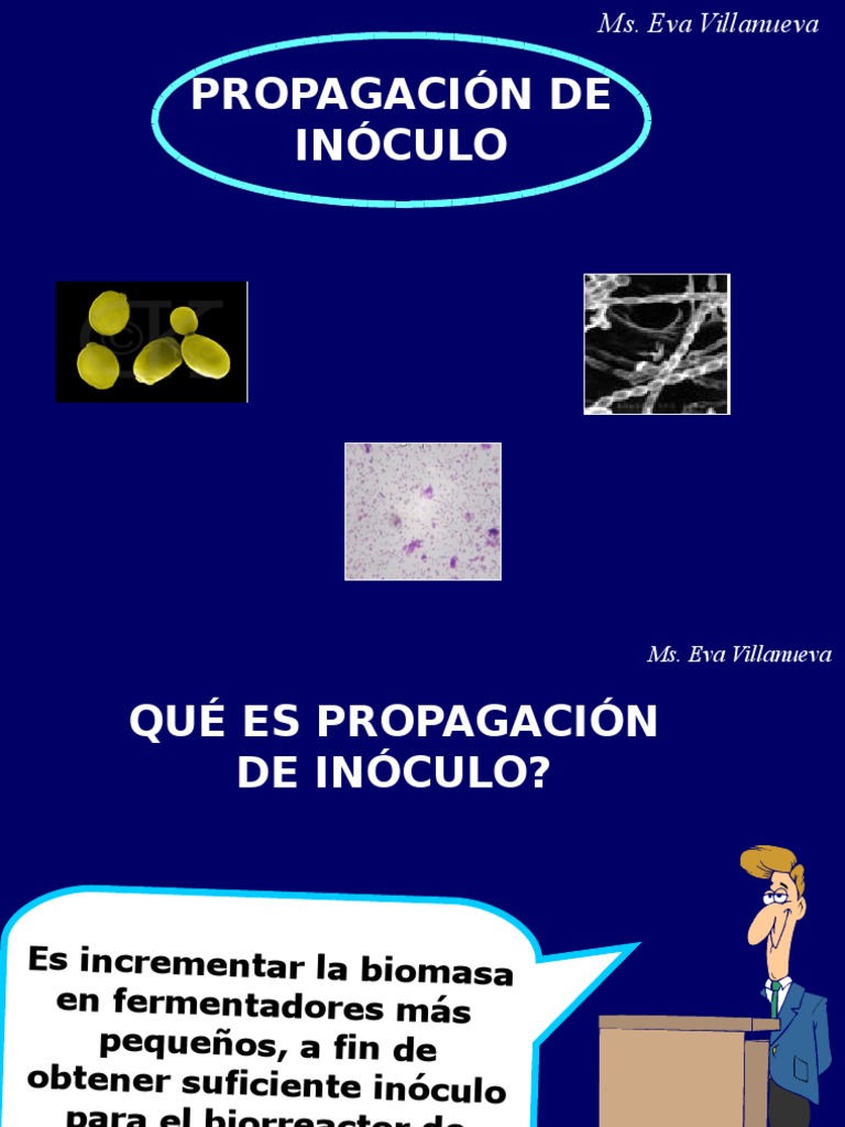 Propagacion Del Inóculo - Vino | PDF | Vino | Bebidas Fermentadas