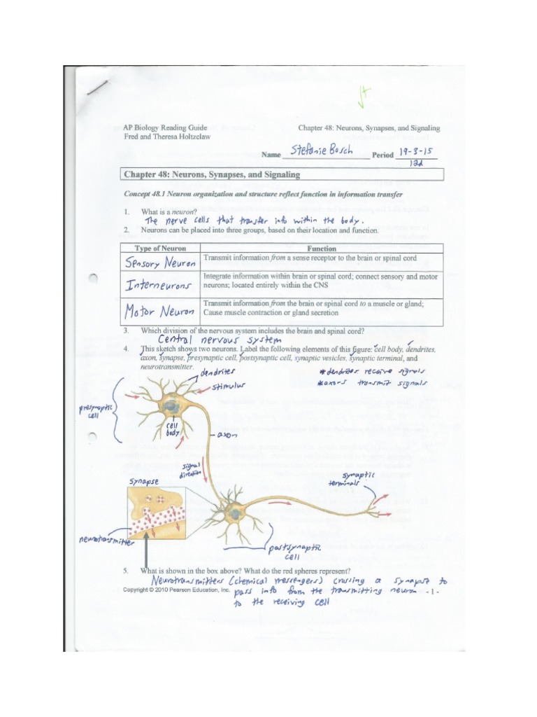 CH 48 RG | PDF