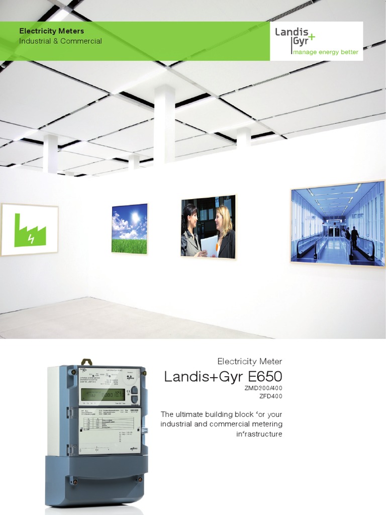 Landis Gyr E650 | Smart Grid | Power Supply