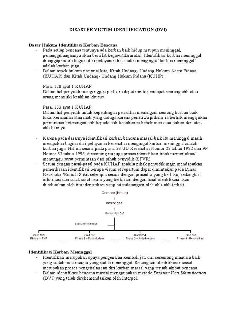 Disaster Victim Identification | PDF