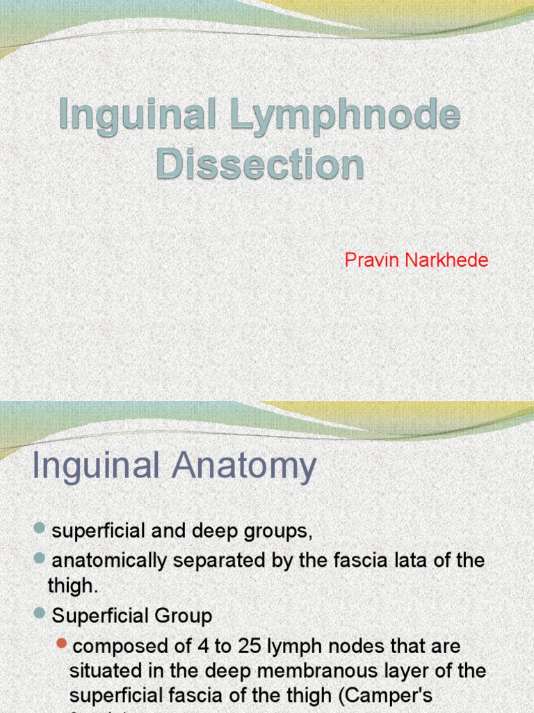 Inguinal Lymphnode Dissection | PDF | Angiology | Lower Limb Anatomy