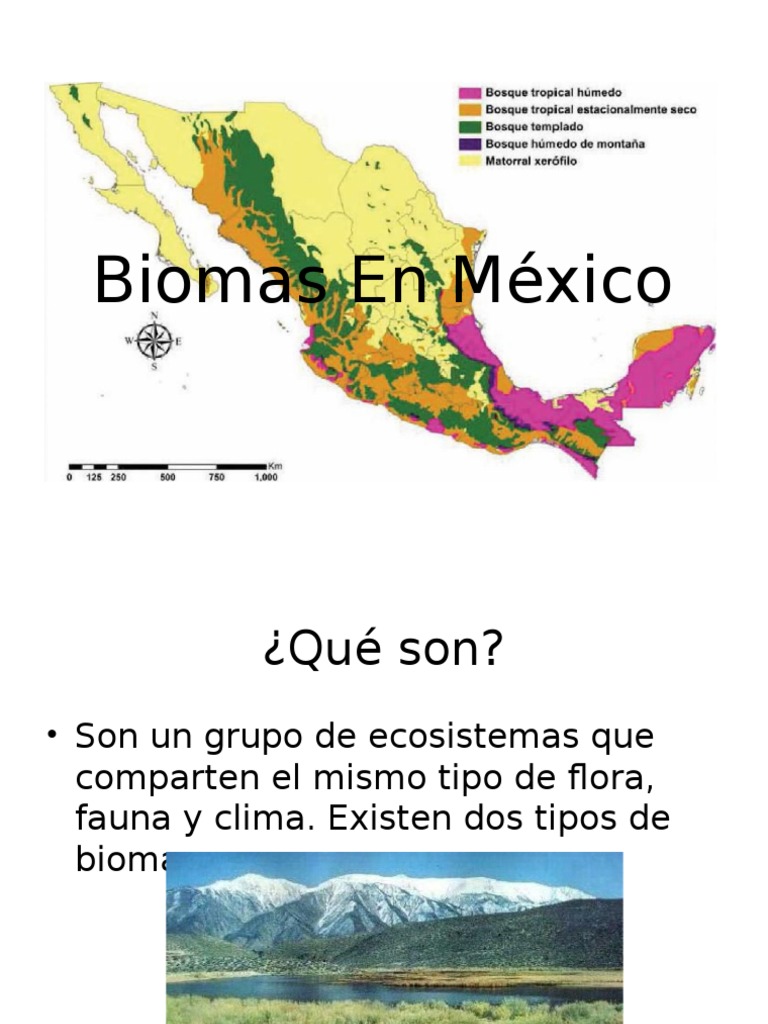 Biomas en México | PDF