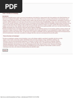 Product Positive Release Procedure | PDF