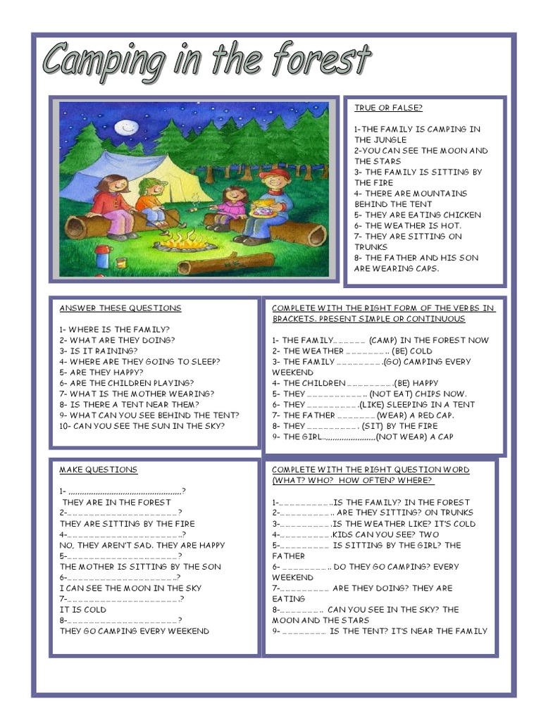 Camping in The Forest | PDF | Language Arts & Discipline | Wellness