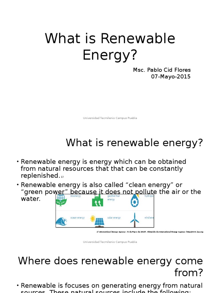 What Is Renewable Energy | PDF | Renewable Energy | Bioenergy