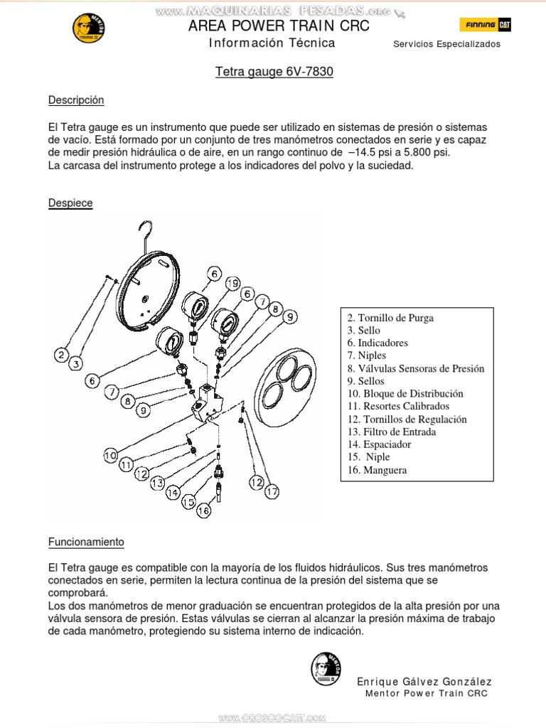 Tetra Gauge | PDF | Medida de presión | Presión