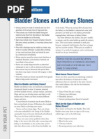 Types of Kidney Stones | PDF | Kidney | Urine