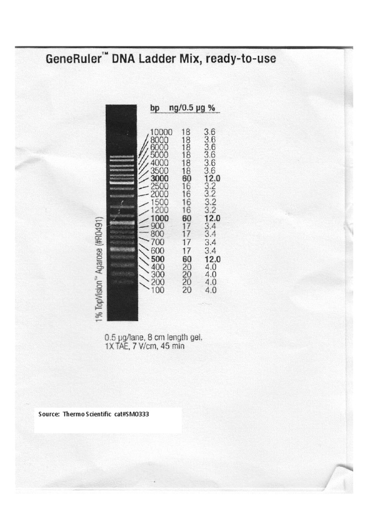 Thermo Scientific SM0333 Info | PDF