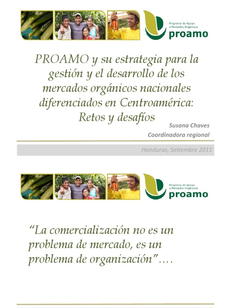 Gestión y Desarrollo de Mercados Orgánicos-PROAMO | PDF | Centroamérica ...
