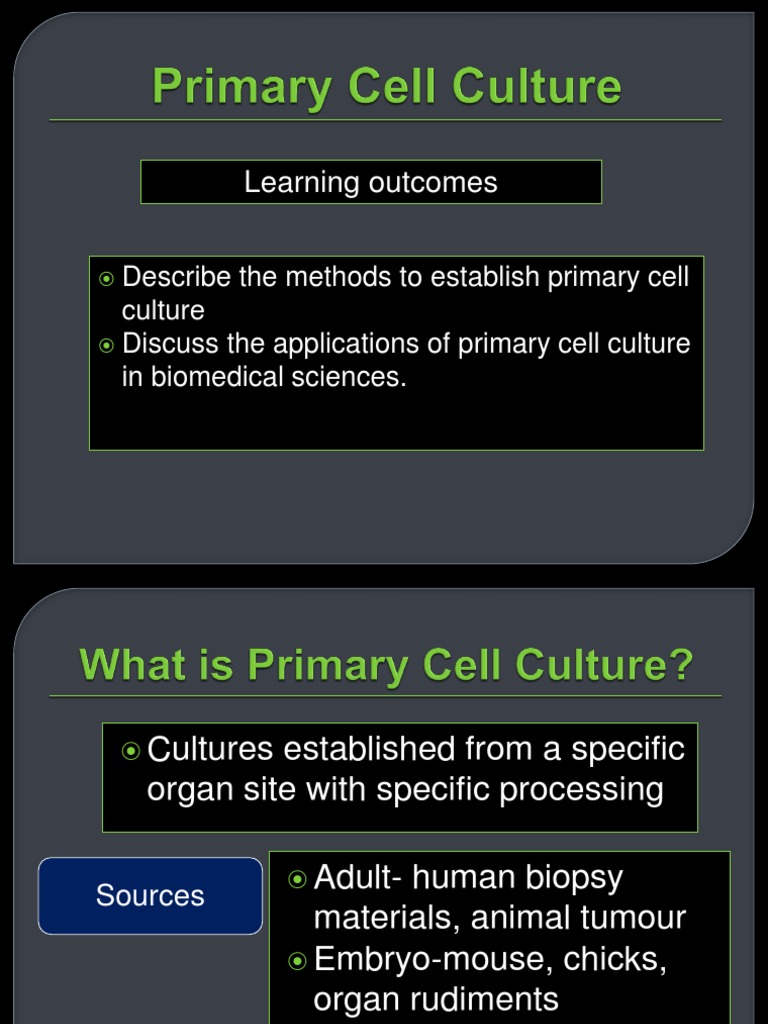 Primary Cell Culture 2013 020914 | PDF | Cell Culture | Cell Biology