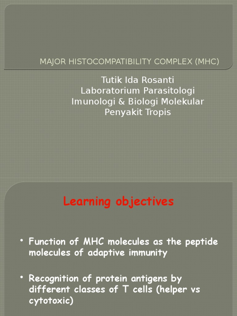 Major Histocompatibility Complex (MHC) | PDF | MHC Kelas I | Kompleks ...
