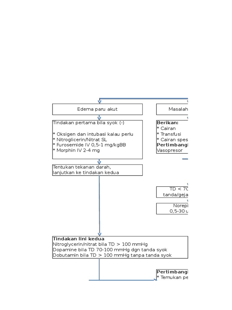 Algoritma Penanganan Syok | PDF