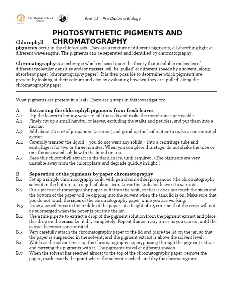 Paper Chromatography For Photosynthetic Pigments | PDF | Chromatography ...