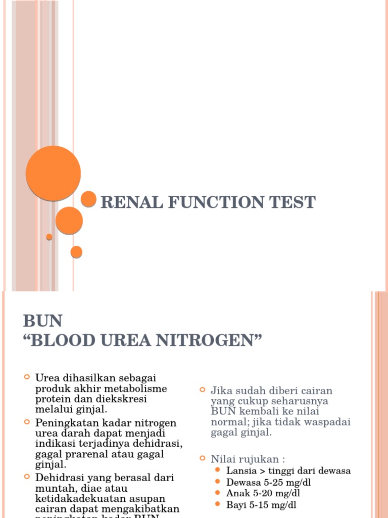 Pemeriksaan RFT | PDF