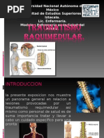 Compresion Radicular. | PDF | La columna vertebral | Sistema ...