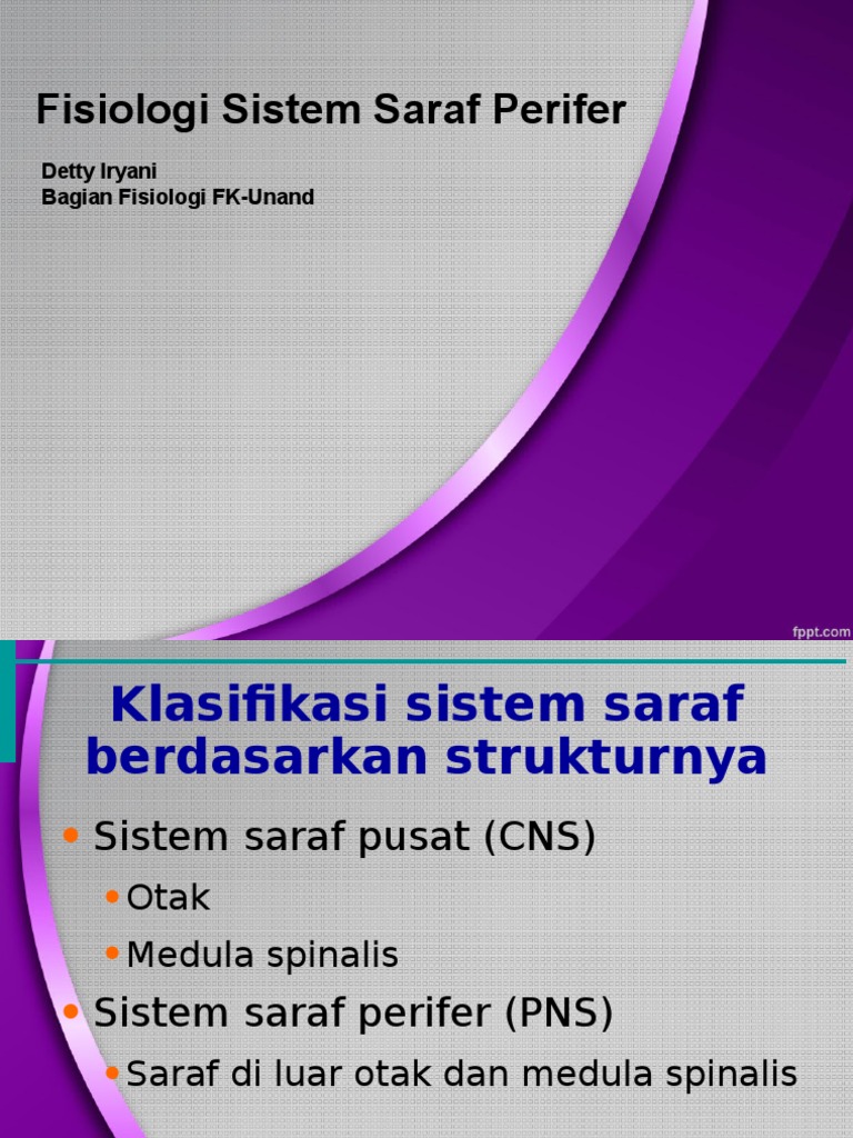 KP 1.3.2.3 Fisiologi Sistem Saraf Perifer | PDF