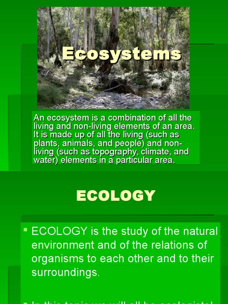 Australian Ecosystems | PDF | Ecosystem | Habitat