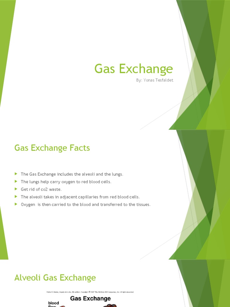 Gas Exchange Powerpoint | PDF | Science & Mathematics