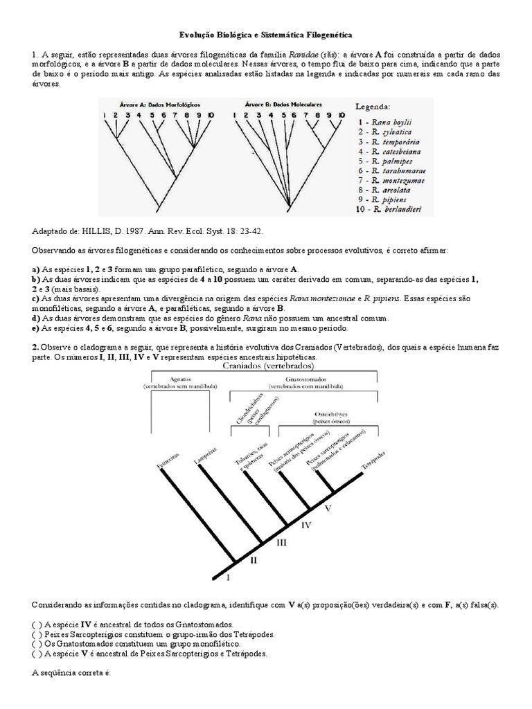 Aula Filogenia Exercícios | Filogenética | Homologia (Biologia)