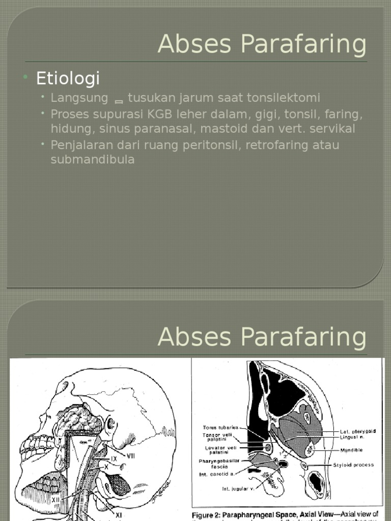 Abses Parafaring | PDF | Sains & Matematika