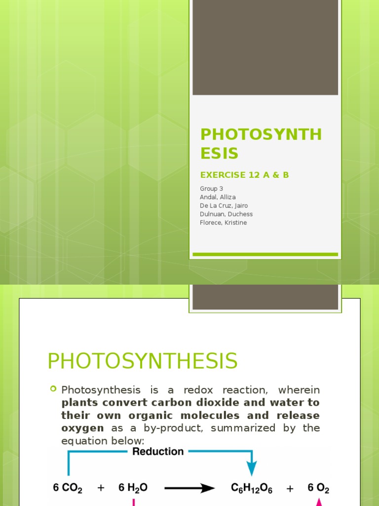 Photosynthesis Lab Analysis | PDF | Science & Mathematics