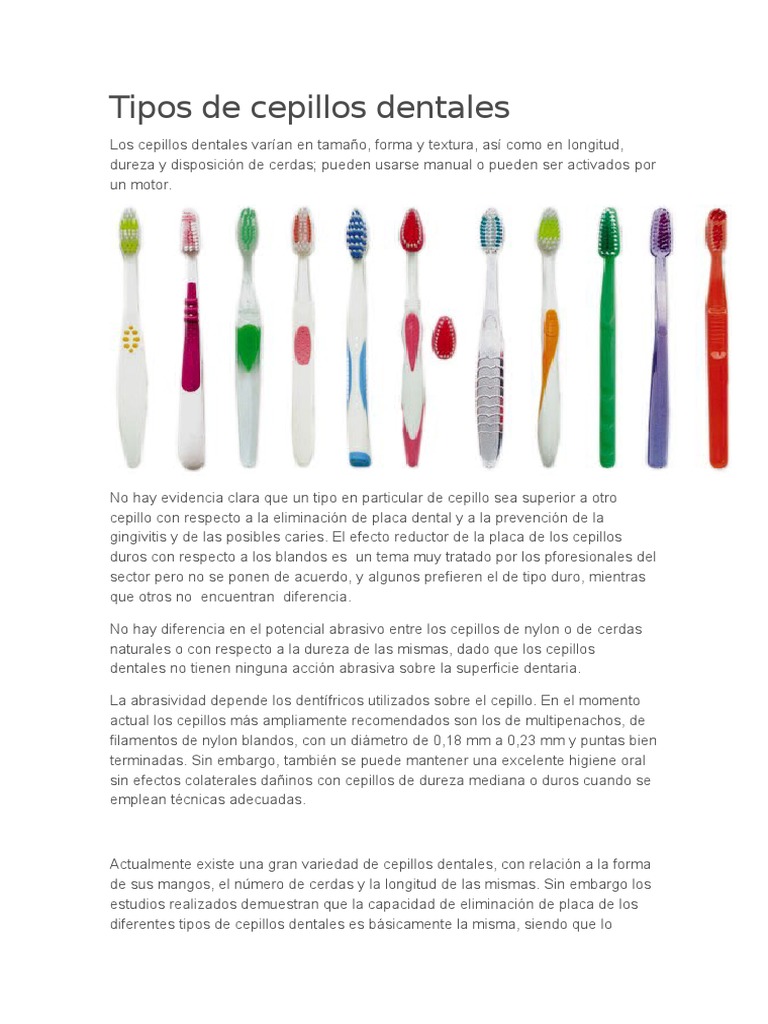 Tipos de Cepillos Dentales | Diente humano | Ortodoncia